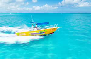 Providenciales: Grace Bay Beach Parasailing Experience | GetYourGuide