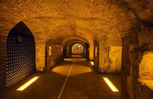 Moet et Chandon Tasting and Fun Private Tour in Champagne | GetYourGuide