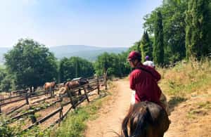 Siena: Paseo a caballo por las colinas de Chianti | GetYourGuide