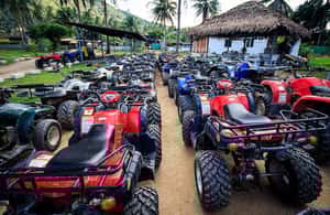 Koh Samui: ATV Quad Bike Safari Tour | GetYourGuide
