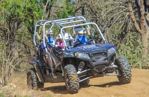 Los Cabos: Zip Lines und UTVs mit mexikanischem Mittagessen und ...