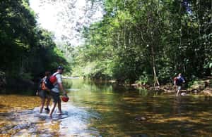 San Ignacio: Ganztagestour zur Actun Tunichil Muknal (ATM) Höhle ...