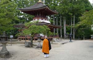 Koyasan Hidden Gems Day Trip From Osaka | GetYourGuide