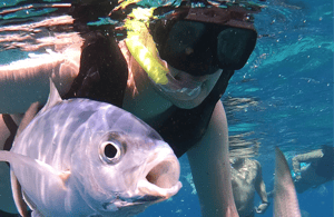 Cozumel: Private Snorkel Experience at Skyreef Beach Club | GetYourGuide