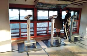 Yerel rehber eşliğinde Kintai-Kyo Köprüsü ve Iwakuni Kalesi 3sa ...