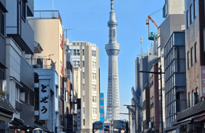 Tokyo: Private Izu Peninsula & Shimoda Day Trip | GetYourGuide