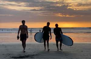Nosara: Playa Guiones Surf Lesson with Local Instructor | GetYourGuide