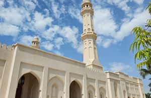 Salalah City Tour: Mosque, Al Gharif Project and Royal Farm | GetYourGuide