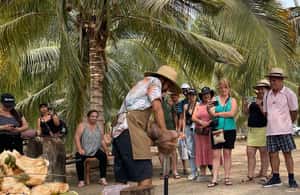 Ixtapa Zihuatanejo Archaeological Zone and Coconut Museum Tour ...