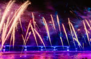 Dinner While Watching Symphony Show & Kiss of the Sea Show | GetYourGuide