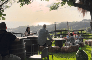 Tropea: Wein- und Essensverkostung | GetYourGuide