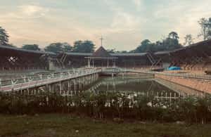 Kampala City: Major sites guided tour | GetYourGuide