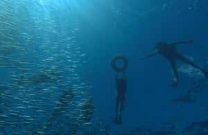 La Paz: Espíritu Santo Island Snorkeling Tour with Lunch | GetYourGuide