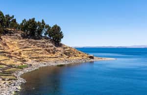 Puno: Full Day Floating Islands of Uros + Amantani + Spanish/English ...