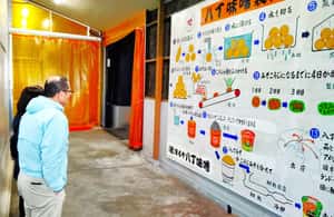 Aichi (Okazaki): Haccho Miso Brewery Tour and Lunch | GetYourGuide