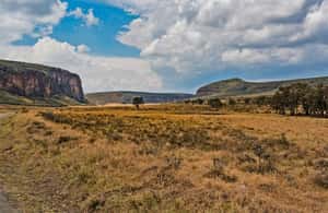 Nakuru: Tagestour zum Hell's Gate & Bootsfahrt auf dem Lake Naivasha ...