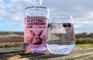 Oban: West Highland Spirits Gin-Verkostung | GetYourGuide