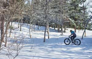 Tromsø: Electric fatbike trip on winter paths | GetYourGuide