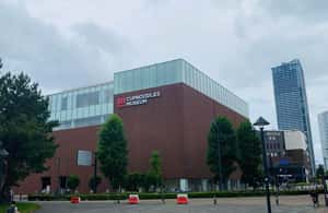 Tokyo to Yokohama Private tour Zoo, China Town & Cup Noodles | GetYourGuide