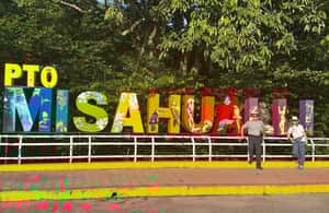 From Quito: Ecuador Rainforest 2-Day Tour with Food & Lodge | GetYourGuide