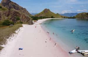 Labuan Bajo: 2T1N Komodo & Pink Beach Bootstour (geteilt) | GetYourGuide