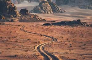 One night in Wadi Rum: Includes Dinner, Breakfast & 4x4 Tour | GetYourGuide