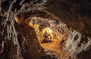 Nairobi: Ololua Nature Trail og Mau Mau-hulerne med picnic | GetYourGuide