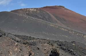 Etna: open bus tour and honey tasting, leaving from Catania | GetYourGuide