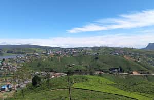 Kandy to Ella Drop: Optional Train Ride from Ambewela | GetYourGuide