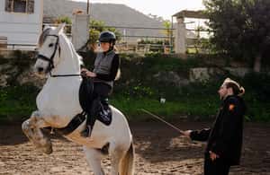 Mallorca: Spanischer Dressurreitunterricht & Erlebnis | GetYourGuide