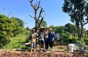 Hanoi: Vietnamese Heritage Tour at Tue Vien Organic Farm | GetYourGuide