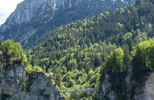 With Peter to Neuschwanstein & the Buchenberg Alm: Small Group Tour ...