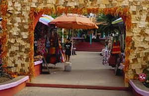 Sayulita & San Pancho Adult Group Discounted Tour | GetYourGuide