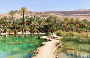 Wadi Bani Khalid - Désert de Wahiba Sands - Coucher de soleil | GetYourGuide