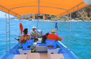 Sayulita, Sport Fishing in the Pacific | GetYourGuide