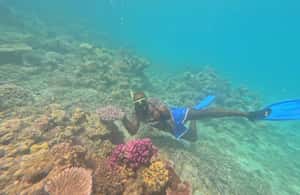 Vanuatu: Tanna Coffee Factory Tour and Pele Island Trip | GetYourGuide