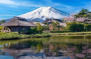 Shizuoka: Private Hidden Tokyo Tour with Guide | GetYourGuide