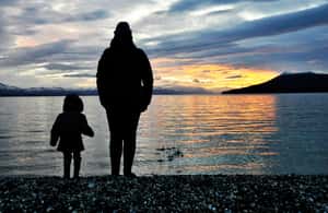 Lago Escondido und Fagnano: ein Ausflug ins Herz der Anden von ...
