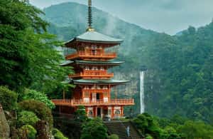 From Osaka/Kyoto: Mt. Koya & Nachi Falls Private Day Trip | GetYourGuide