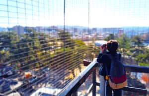 Okazaki: Prohlídka rodného města největšího japonského šóguna ...