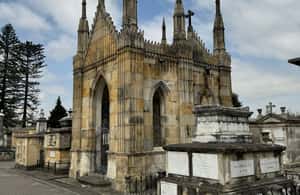 Another side of Bogota: guided walking tour of non-touristy places ...