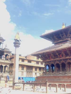 Kathmandu: 6-Day Bardia National Park Safari Tour | GetYourGuide