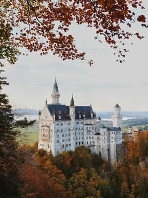 With Peter to Neuschwanstein & the Buchenberg Alm: Small Group Tour ...