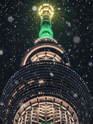 Tokyo: Private Izu Peninsula & Shimoda Day Trip | GetYourGuide