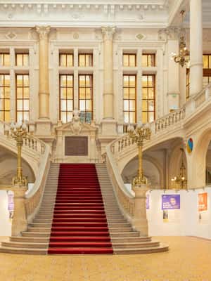 Minibusstur til Ceaușescus hus, Parlamentet og landsbymuseet | GetYourGuide