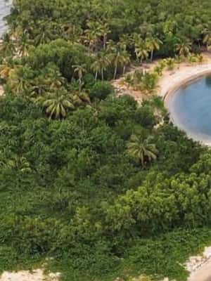 Los Haitises National Park: Boat Tour | GetYourGuide