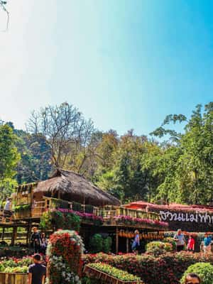 The essence of northern Thailand: Chiang Rai day trip | GetYourGuide