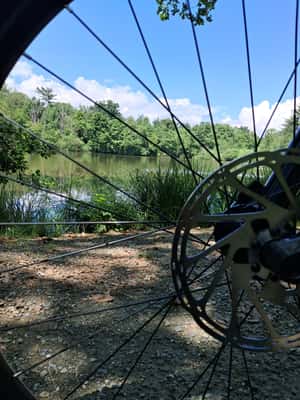 Guided E-Bike Tour in the Mandria Park | GetYourGuide