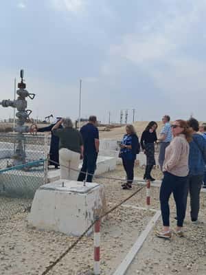 Bahrain: Tree of Life & Desert Heritage Bus Tour | GetYourGuide