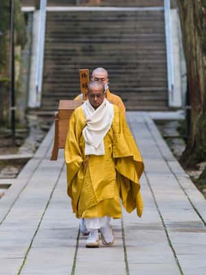 From Osaka/Kyoto: Mt. Koya & Nachi Falls Private Day Trip | GetYourGuide